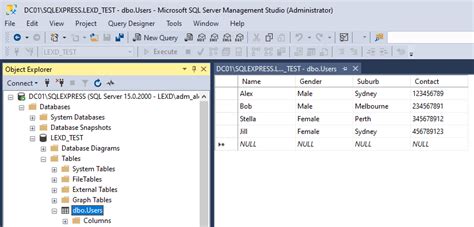 How To Query Ms Sql Server Using Powershell • Lexd Solutions