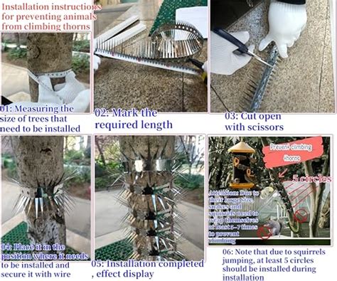 Anti Animal Climbing Thorns Bird Spikes Squirrel Baffle Squirrel