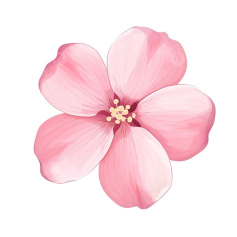 Prink Flower Illustration 140 Hot Pink Flower Clip Art Stock