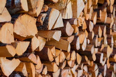 Hickory Vs Oak The Ultimate Firewood Face Off Stacked Firewood Delivery