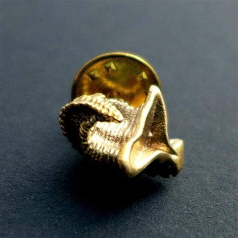Dailyatia Small Shelly Fossil Lapel Pin Fossil Jewelry Lapel Pins Fossil