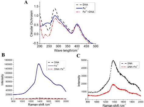 Cd Spectroscopy And Raman Spectra Analysis Of Dna Upon Binding To Fe