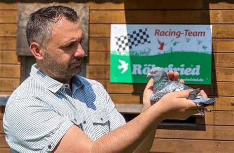 Robert Maaß Has The 1st Ace Pigeon Yb 300 Fanciers 2023 Our
