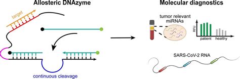 Angewandte Chemie International Edition Vol 63 No 12