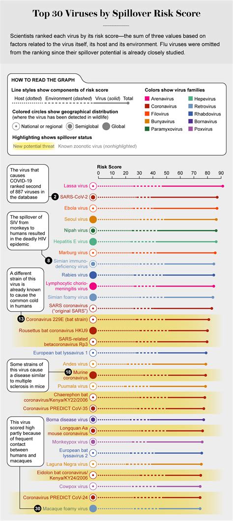 Most Common Types Of Viruses
