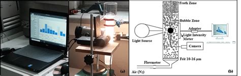 A Experimental Set Up Of Bubble Coalescence Measurement B Download Scientific Diagram