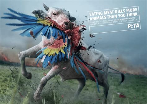Vegan Marketing Profile People For The Ethical Treatment Of Animals