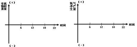 下图表示某生态系统在发展的过程中生物总能量 A 和生产者所固定的太阳能 B 的变化 下面是据图得出的几个结论 其中不正确的是 A第 年 年是该生态系统向营养结构复杂化发展的时期