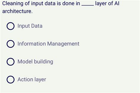 Cleaning Of Input Data Is Done In Layer Of Al Architecture Input Data