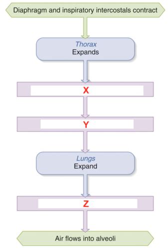 Formulas For Final Flashcards Quizlet Formulas For Final Flashcards Quizlet