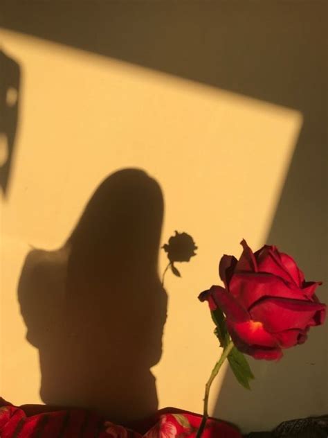 صور ظل اجمل خلفيات ظل بنات وشباب مصراوى الشامل