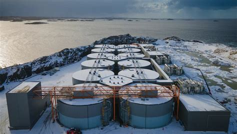 Salmon Evolution ‘to Reach Capacity In Q4