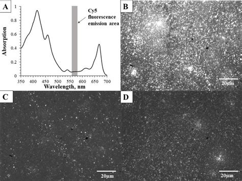 a optical absorption spectra of chl a dissolved in chloroform