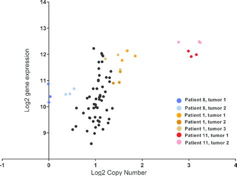 Ccnd1 Gene Expression And Gene Copy Number In 11 Mf Ilc Patients Download Scientific Diagram