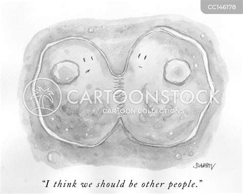 Healing From Codependency Be Like Rcodependency