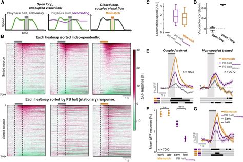 Locomotion Induced Gain Of Visual Responses Cannot Explain Visuomotor