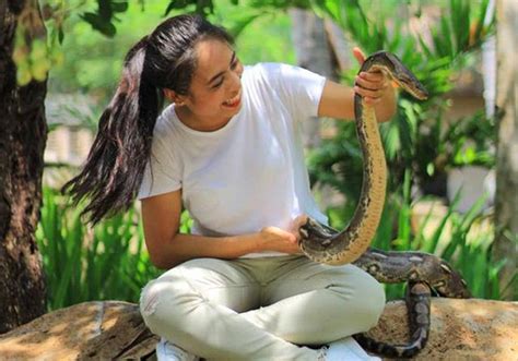 Python Lombok Wildlife Park