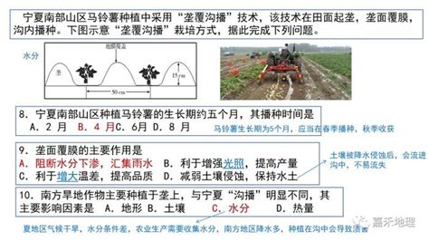 地理视角看垄沟种植 葡萄 新浪新闻