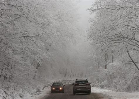 Столичната община увеличава броя на автобусите до Витоша от 18 януари Sofianews Bg