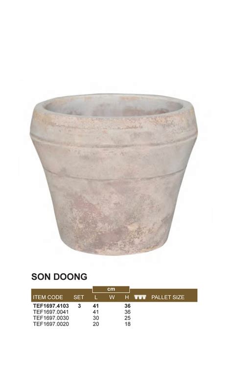 SON DOONG ROSA PLANTERS VIETNAM CO LTD