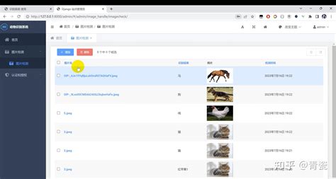 动物识别系统python Django网页界面 TensorFlow算法模型 数据集训练 知乎