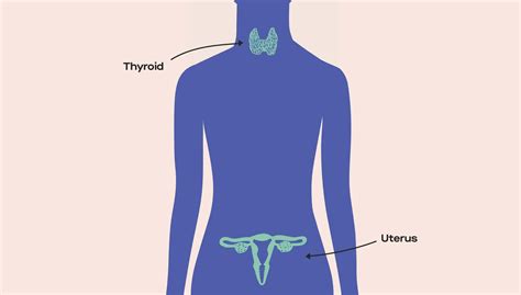 Whats The Connection Between The Thyroid And Fertility Ro