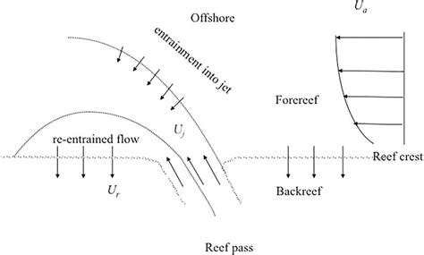 Figure 1 From Behavior Of A Wave‐driven Buoyant Surface Jet On A Coral Reef Semantic Scholar