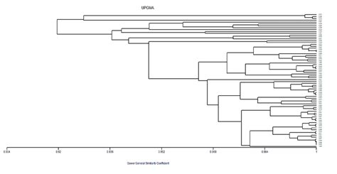 Questions With Answers In DENDROGRAM Science Topic