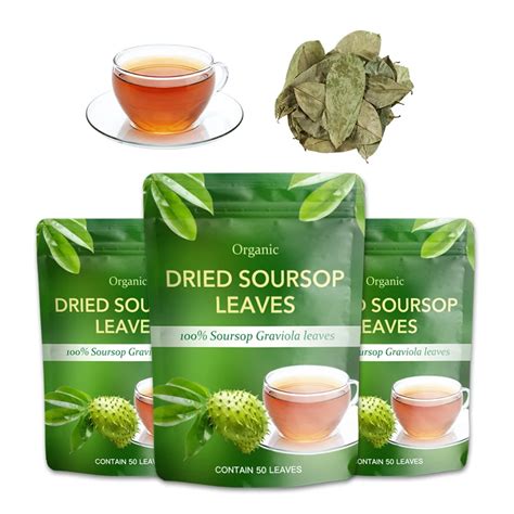 Private Label Natural Organic Tea Graviola Leaf Tea Guanabana Tea Dried