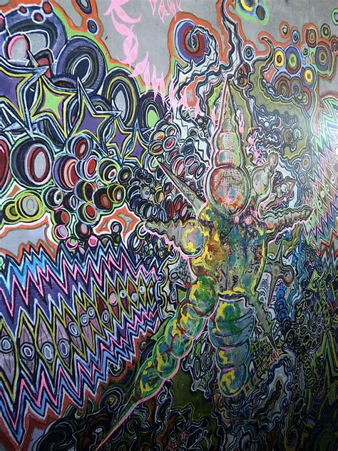 What A Salvia Trip Looks Like
