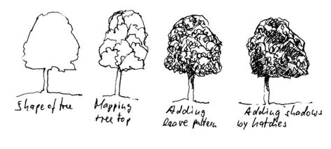 Nature Tree Drawing Drawing Examples Drawings
