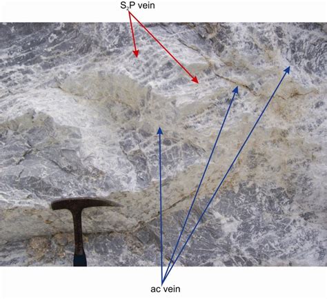 2 The Intersection Of Two Or More Vein Sets Indicates The Presence Of Download Scientific