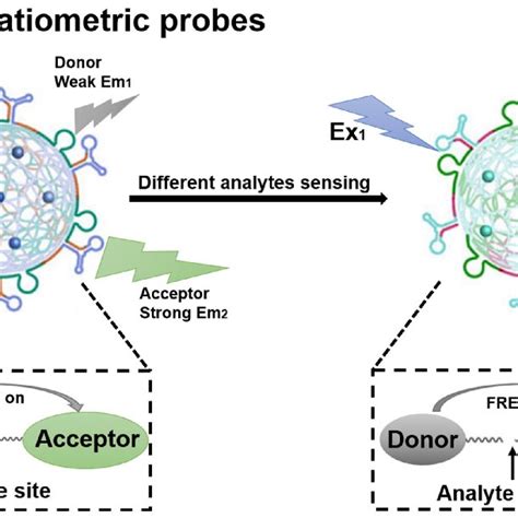 Schematic Illustration Of The Sensing Principle Of Ratiometric Download Scientific Diagram