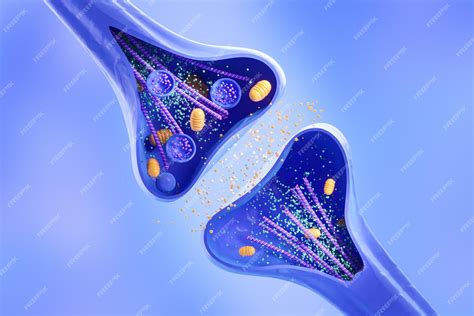 Premium Photo Cross Section Of A Synapse Or Neuron In The Process Of