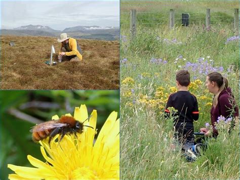 UK Pollinator Monitoring Scheme | UK-SCAPE | UK Centre for Ecology & Hydrology
