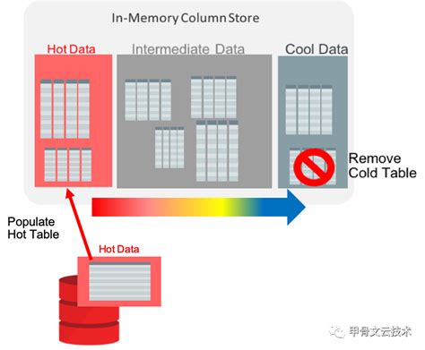 Oracle Database 20cin Memory增强