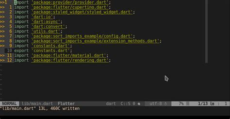 Neovim Plugin That Sorts Dart Imports In An Organized Way Rflutterdev