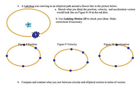 3 A Labybug Was Crawling In An Elliptical Path Around A Flower Like In