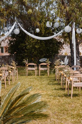야외의 푸른 나무 아래 의자와 레몬 올리브 가지 장식이 있는 간단한 결혼식 제단 0명에 대한 스톡 사진 및 기타 이미지 0명 가든파티 결혼 의식 Istock