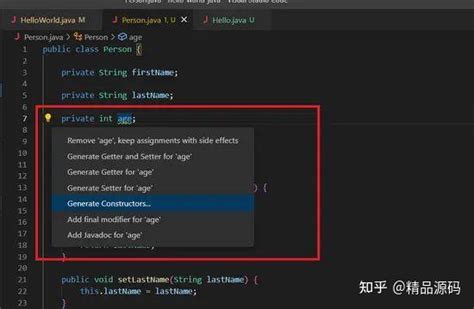 Vscode Java Lombok