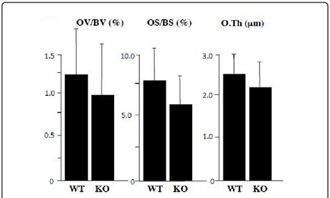 B Bone Histomorphometry In Secondary Cancellous Bone Area Of Ko Mice Download Scientific