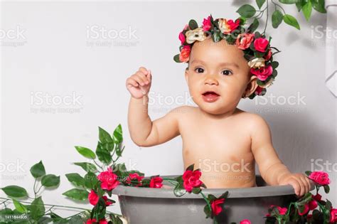갈색 피부를 가진 아름다운 라티나 아기 소녀 꽃으로 둘러싸인 양동이에 꽃 왕관으로 매우 웃고 행복합니다 행복한 얼굴로 손을 들고 앉아있는 소녀 6 11 개월에 대한 스톡