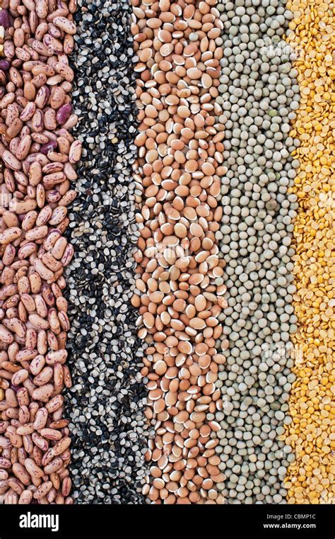 Rajma Seeds Hi Res Stock Photography And Images Alamy
