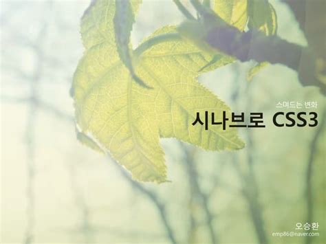 시나브로 css3 ppt