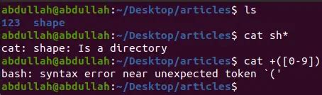 How To Run Regular Expressions Inside A Case Statement In Bash Delft Stack