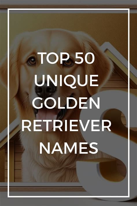 Top 1200 Golden Retriever Names From A Z 2024 Lets Learn Slang Artofit