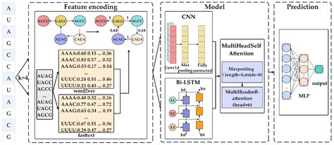 cspredr a multi site mrna subcellular localization prediction method