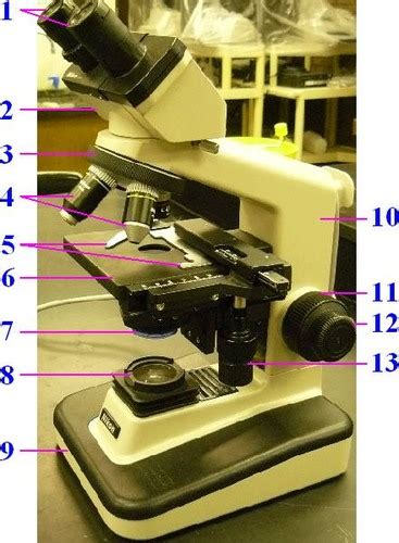 Microscope Flashcards Quizlet