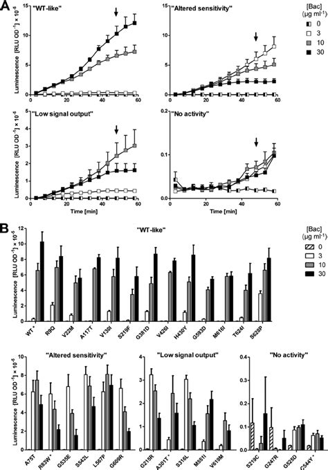 Signal Transduction Activities A Time Courses Of Promoter Induction Download Scientific