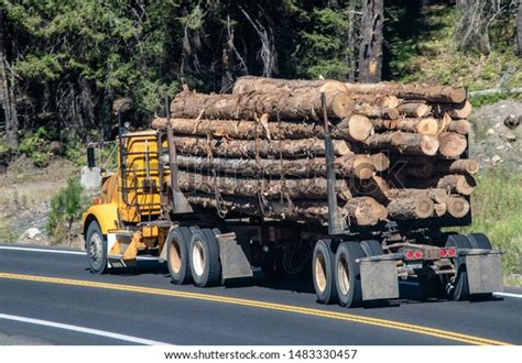 Fully Loaded Logging Truck On Road Stock Photo Shutterstock